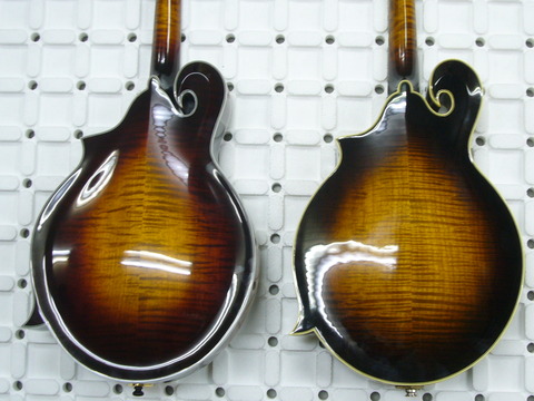 SUMI MANDOLIN DAWG 4 : ︎BLUESKY & GRASS ︎