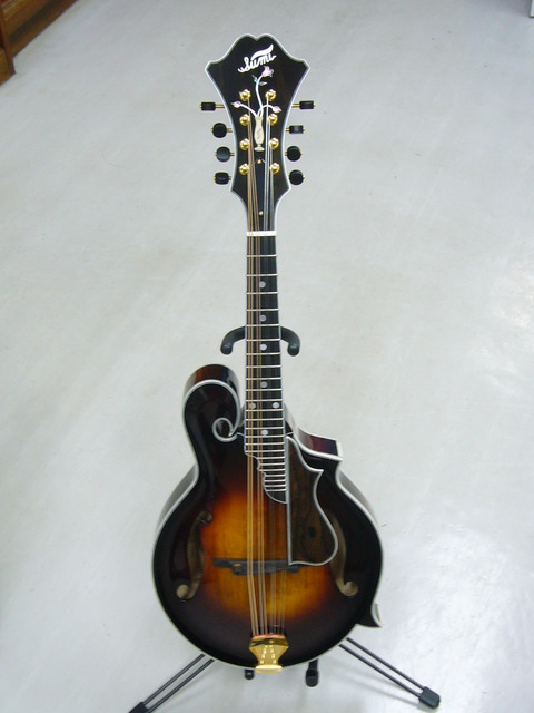 SUMI MANDOLIN DAWG 3 : ︎BLUESKY & GRASS ︎