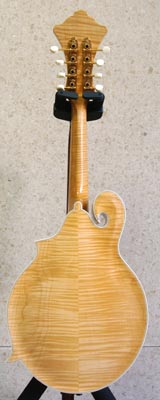 SUMI MANDOLIN DAWG 6 : ︎BLUESKY & GRASS ︎