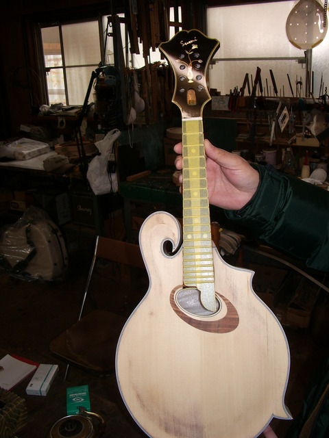 SUMI MANDOLIN DAWG 5 : ︎BLUESKY & GRASS ︎