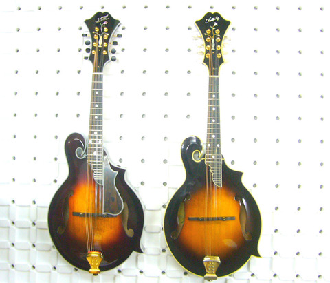 SUMI MANDOLIN DAWG 4 : ︎BLUESKY & GRASS ︎