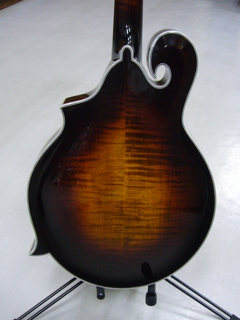 SUMI MANDOLIN DAWG 3 : ︎BLUESKY & GRASS ︎