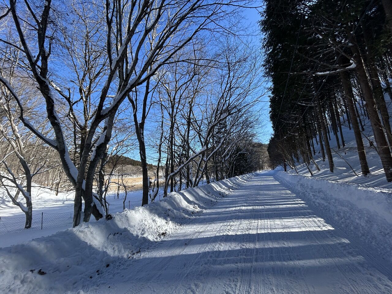 塩原温泉冬だより ー大沼公園ー : 塩原温泉ビジターセンター通信