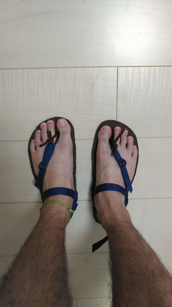 softronics_motorのblog