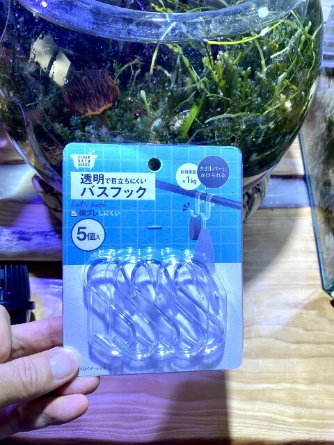 無知の知〜Marin Bottle Aquarium〜 : SONOアクアプランツファーム水草･海藻情報局