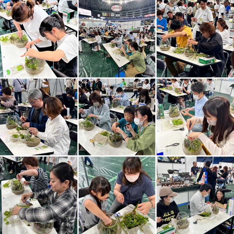 『GEX MeGreen グラスアクアリウム WS』開催報告 : SONOアクアプランツファーム水草･海藻情報局
