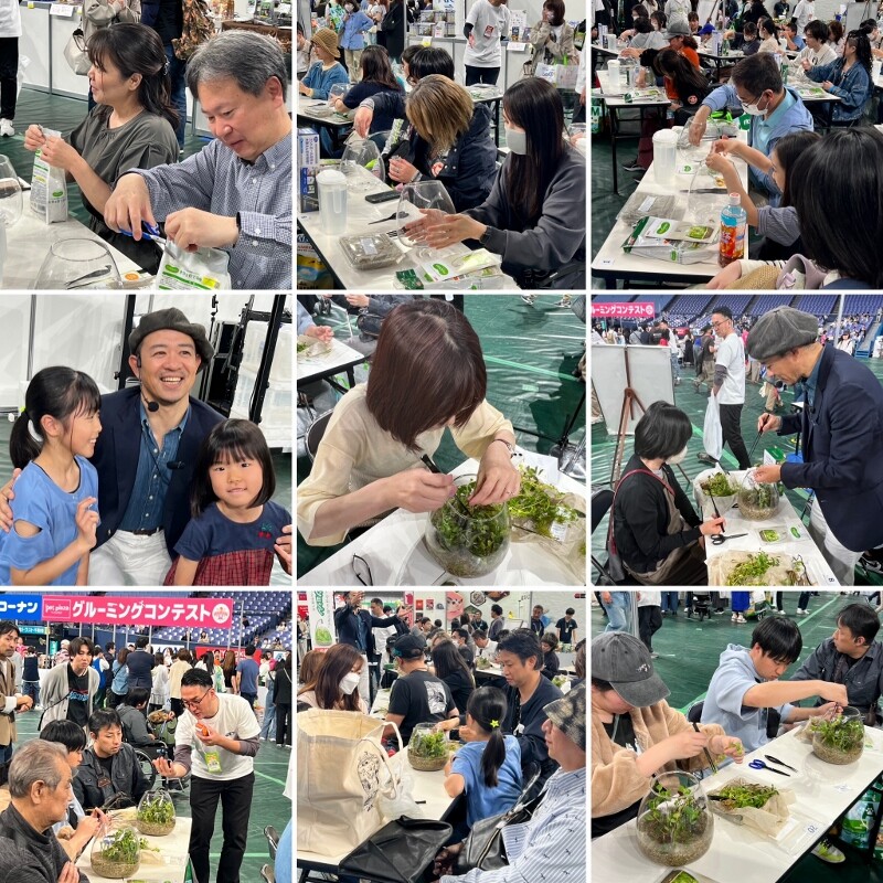 『GEX MeGreen グラスアクアリウム WS』開催報告 : SONOアクアプランツファーム水草･海藻情報局