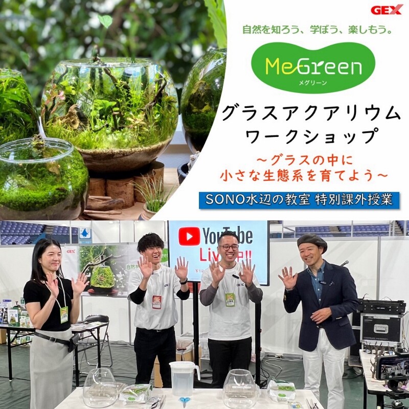 『GEX MeGreen グラスアクアリウム WS』開催報告 : SONOアクアプランツファーム水草･海藻情報局