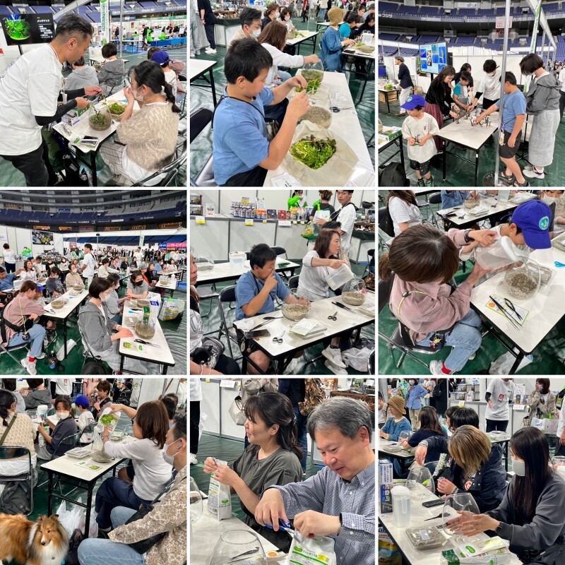 『GEX MeGreen グラスアクアリウム WS』開催報告 : SONOアクアプランツファーム水草･海藻情報局