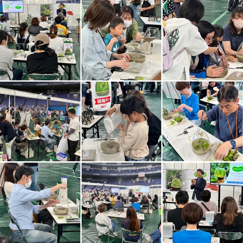 『GEX MeGreen グラスアクアリウム WS』開催報告 : SONOアクアプランツファーム水草･海藻情報局