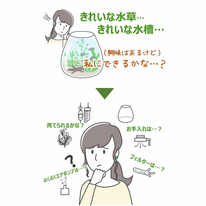 GEX MeGreen(メグリーン)の世界 : SONOアクアプランツファーム水草情報局