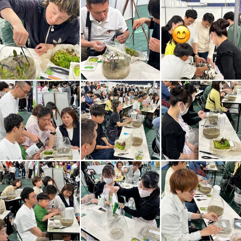 『GEX MeGreen グラスアクアリウム WS』開催報告 : SONOアクアプランツファーム水草･海藻情報局