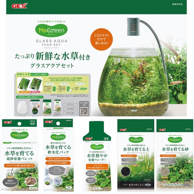 GEX MeGreen(メグリーン)の世界 : SONOアクアプランツファーム水草情報局