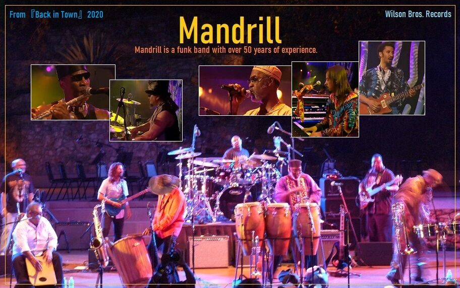 SOSEGON魂 : マンドリル 2020