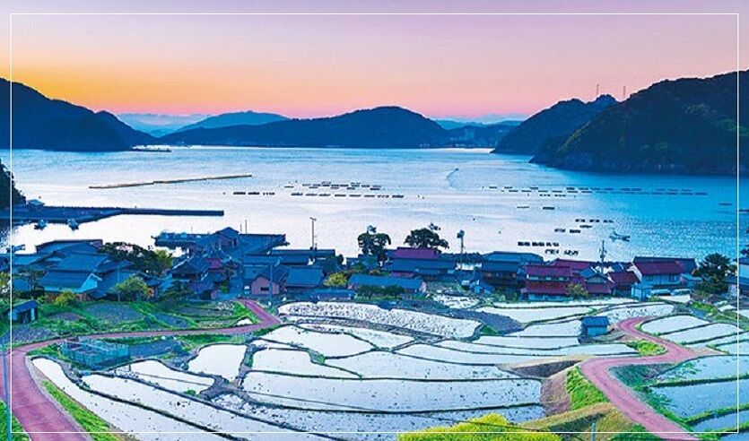 SOSEGON魂 : 病院からこんにちわ！