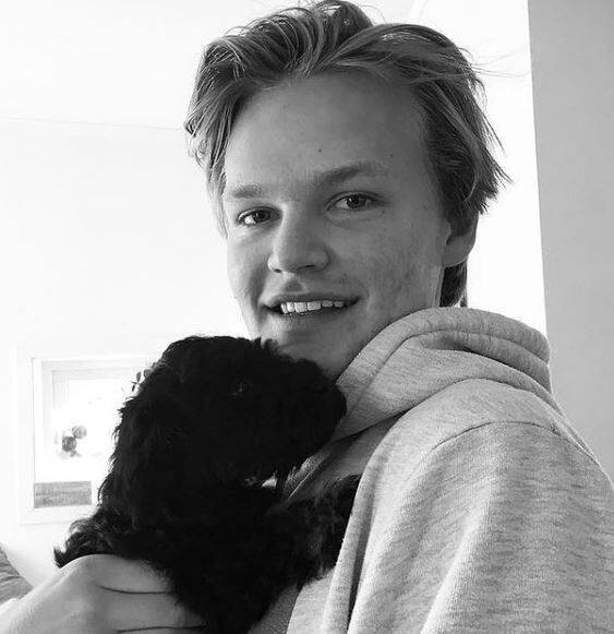 David Stakston Wiki, Height, Age, Girlfriend, Family, Biography & More ...