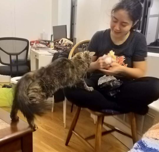 Who is Erika Cheung? Wiki, Biography, Husband, Net Worth, Parents, Age ...