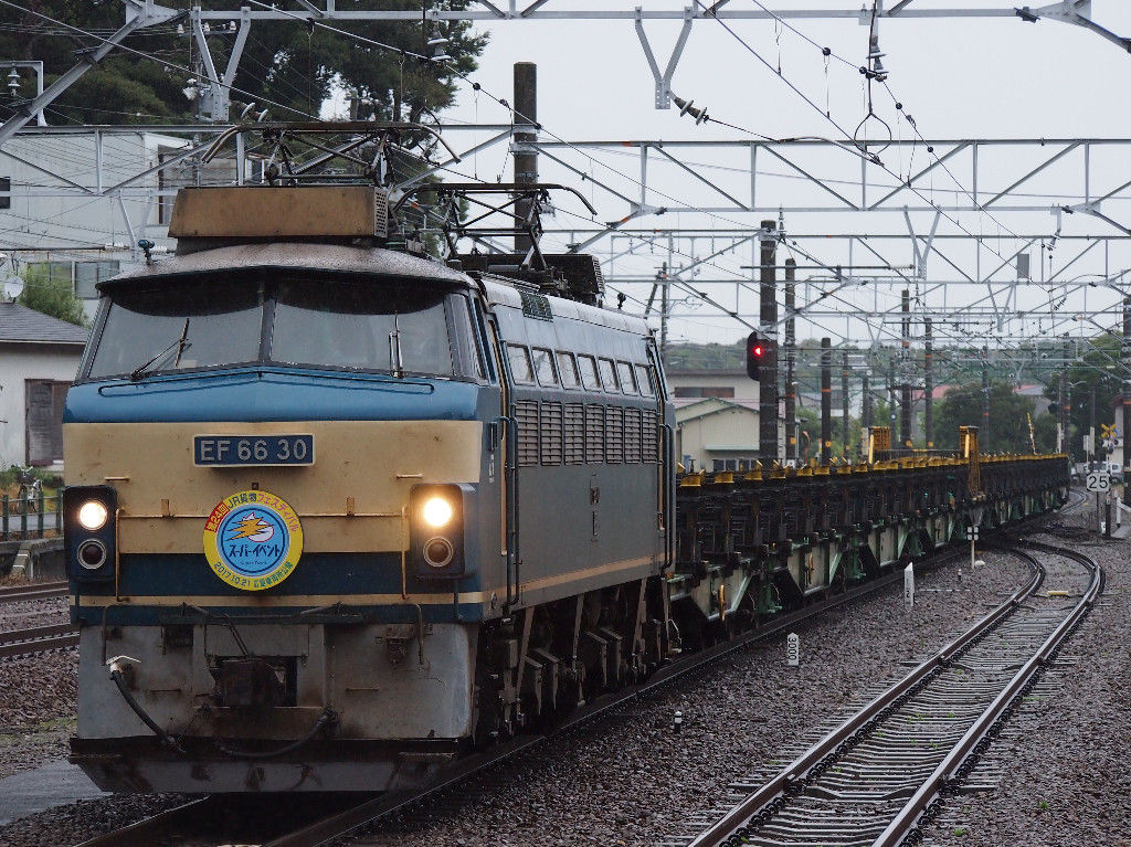 10月19日、8091レ EF66-30(広島車両所公開HM付） : 山紫水明な景色を求め