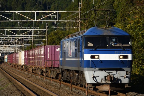 【11月6日】JR東海道本線（名古屋地区）313系、681系、EF210-1 : 山紫水明な景色を求め