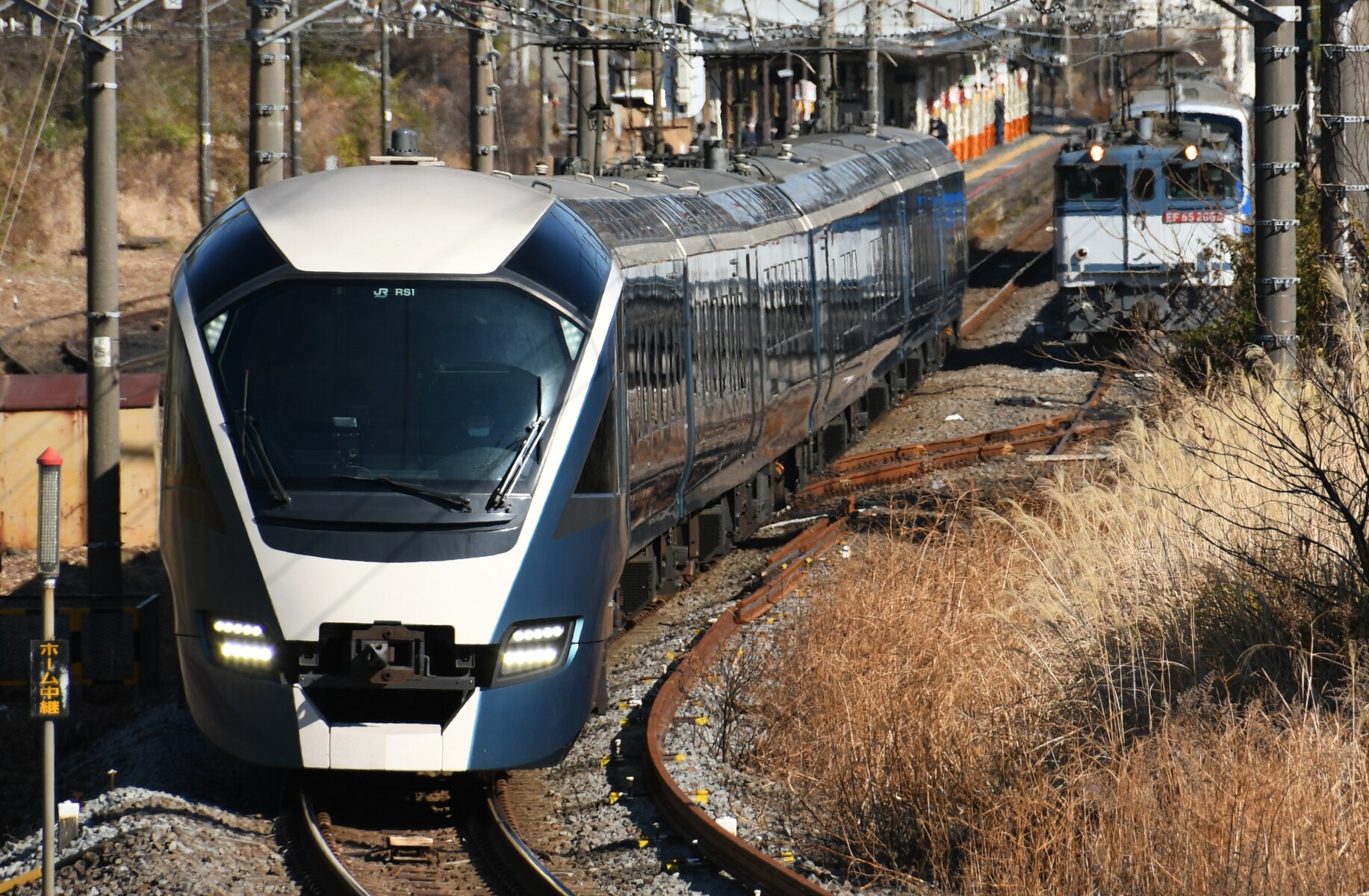 E261系「特急サフィール踊り子号」の撮影 : 山紫水明な景色を求め