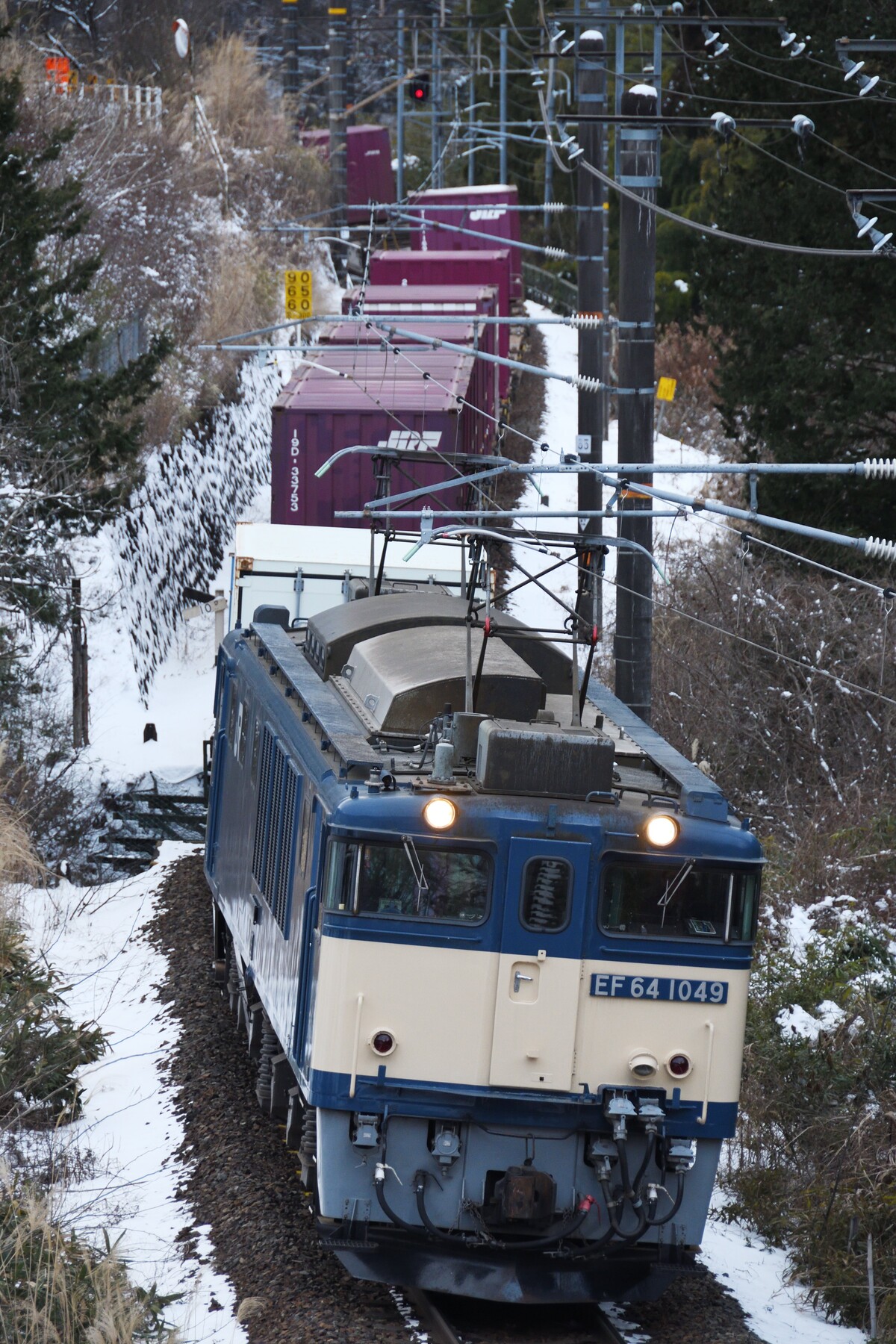 【1月28日】JR中央西線 81レ EF64 1049（国鉄色） : 山紫水明な景色を求め