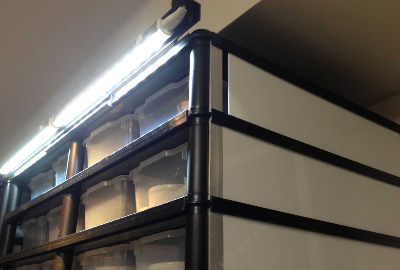 SPIRAL BLOG : VISION RACK