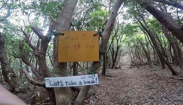 高尾山高地？？トレーニング : どーらく者の秘密基地