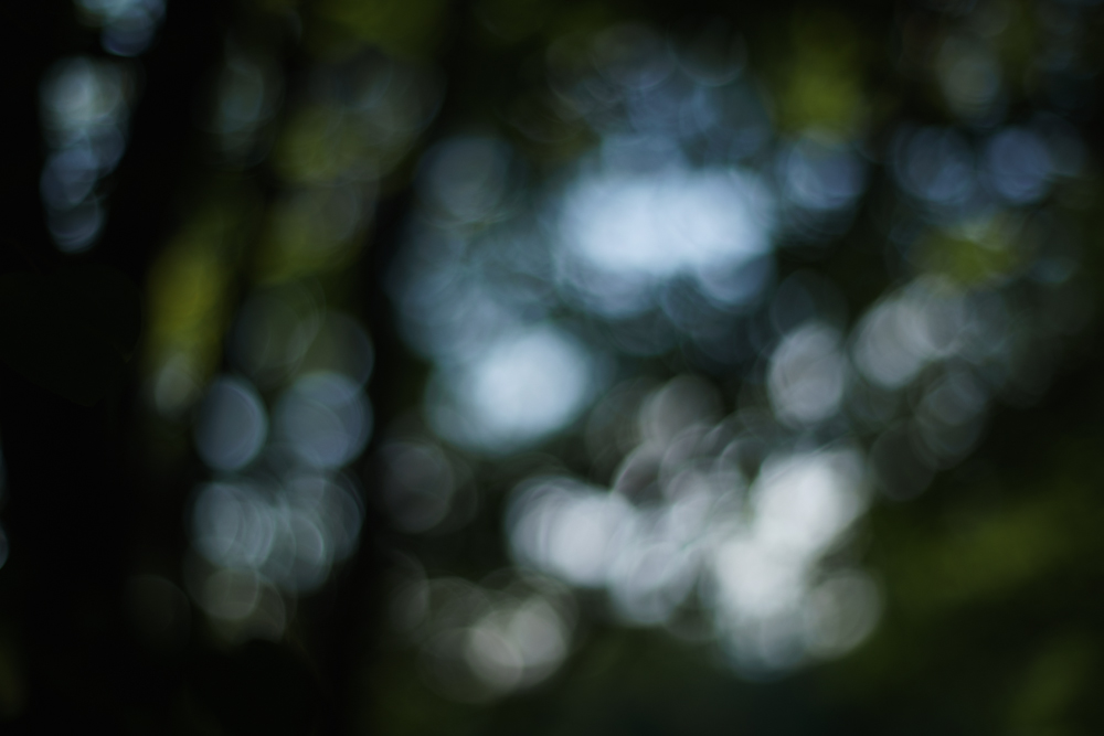 Planar 50mm F1.4 AEJのギザギザ絞り : ZEISSレンズとかなんとか Planar 50mm F1.4 AEJのギザギザ絞り : ZEISSレンズとかなんとか