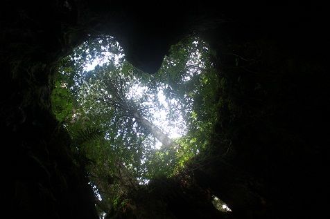 国内旅行 : スタンプ収集の記録