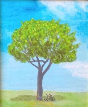 Body accessory shop SteM