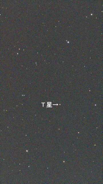 Sternの星空日記 : かんむり座T星