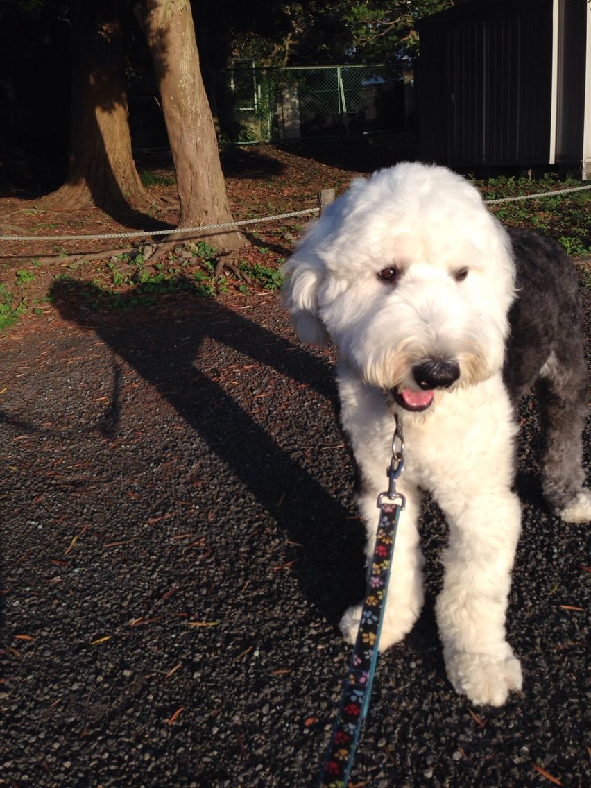 何時もの毎日！、、、 : IROを織る、IROを描く、iroiro！ 2