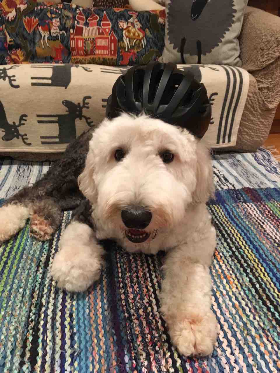 自転車用ヘルメット : IROを織る、IROを描く、iroiro！ 2