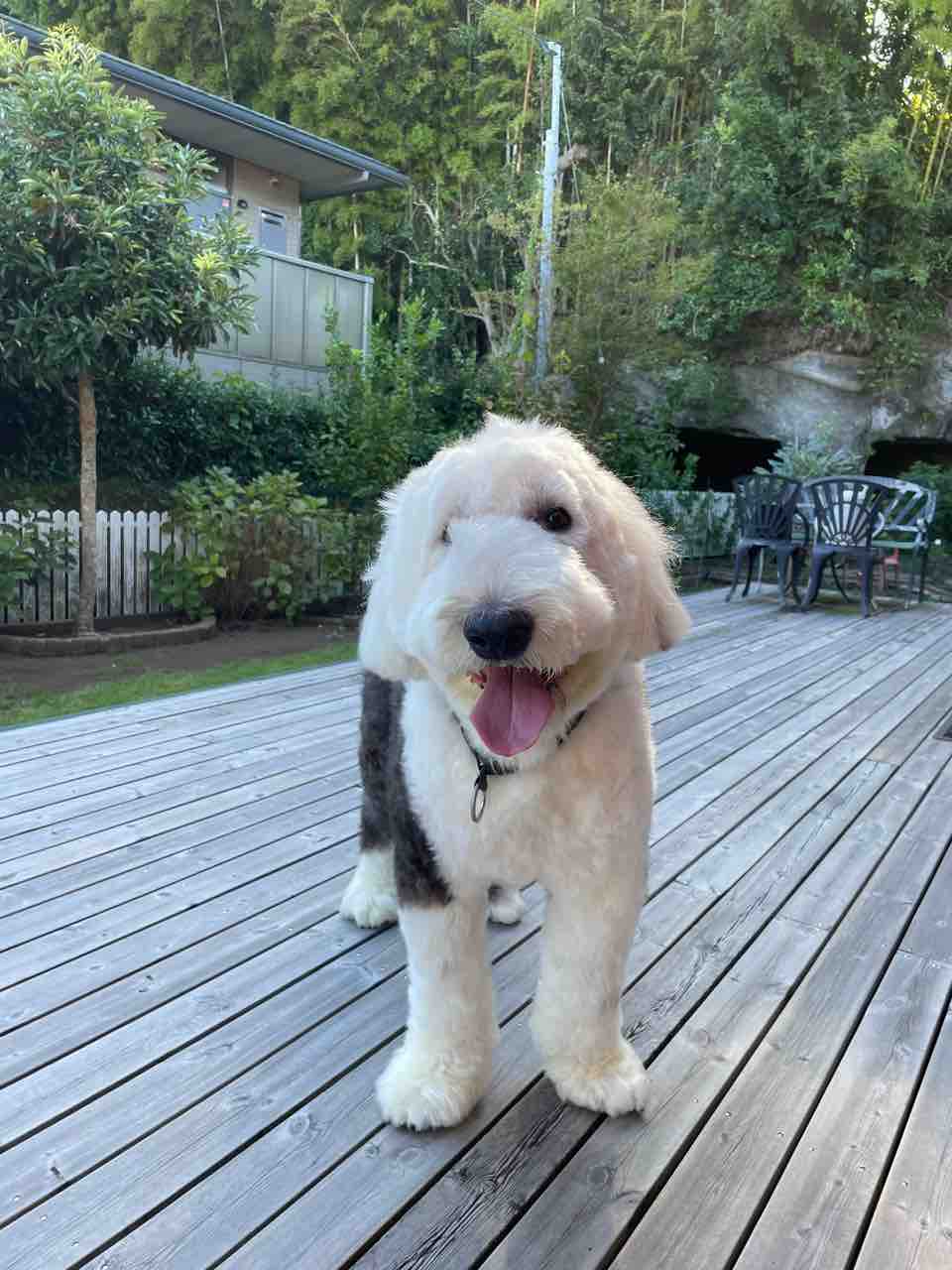 奈良県御所（ごぜ）市の一言主神社 : IROを織る、IROを描く、iroiro！ 2