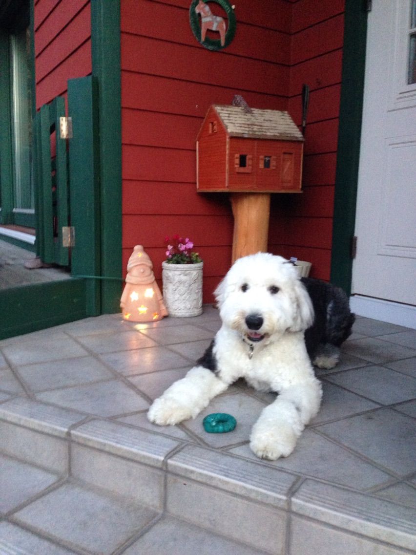 いつもの朝！ : IROを織る、IROを描く、iroiro！ 2