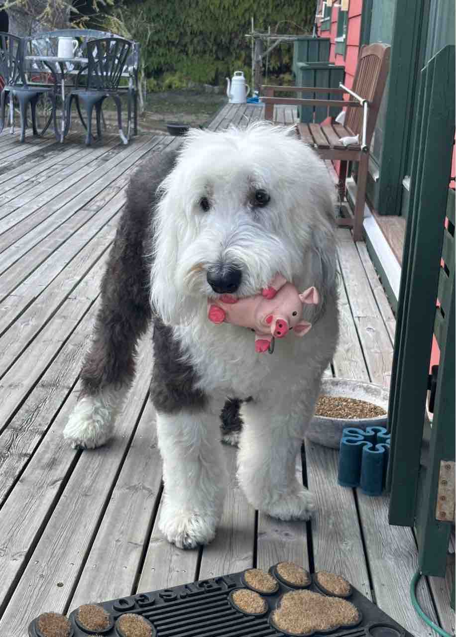 Beauneのチーフが帰国前に鎌倉へ : IROを織る、IROを描く、iroiro！ 2