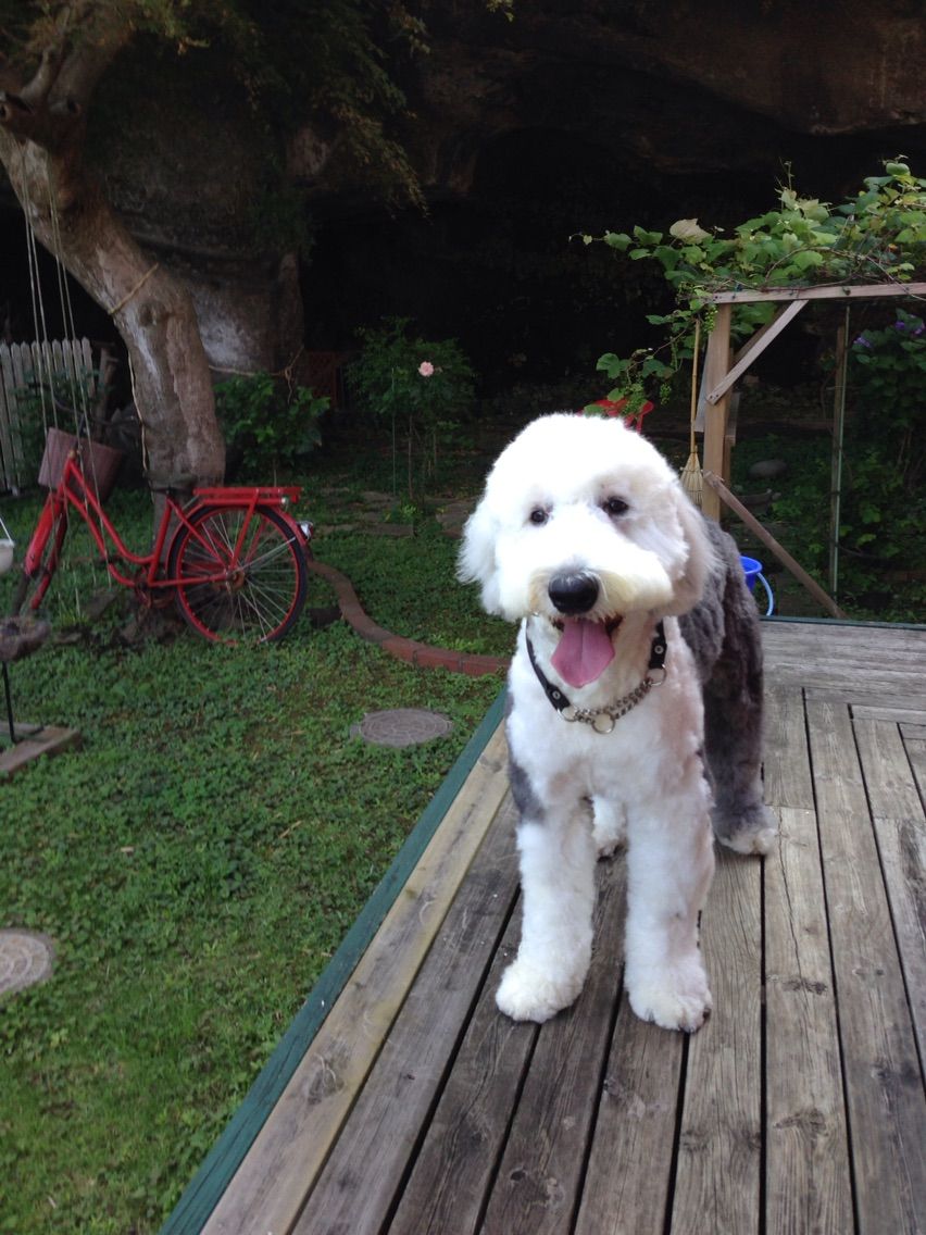 これから来客！、、、ギョ！ : IROを織る、IROを描く、iroiro！ 2