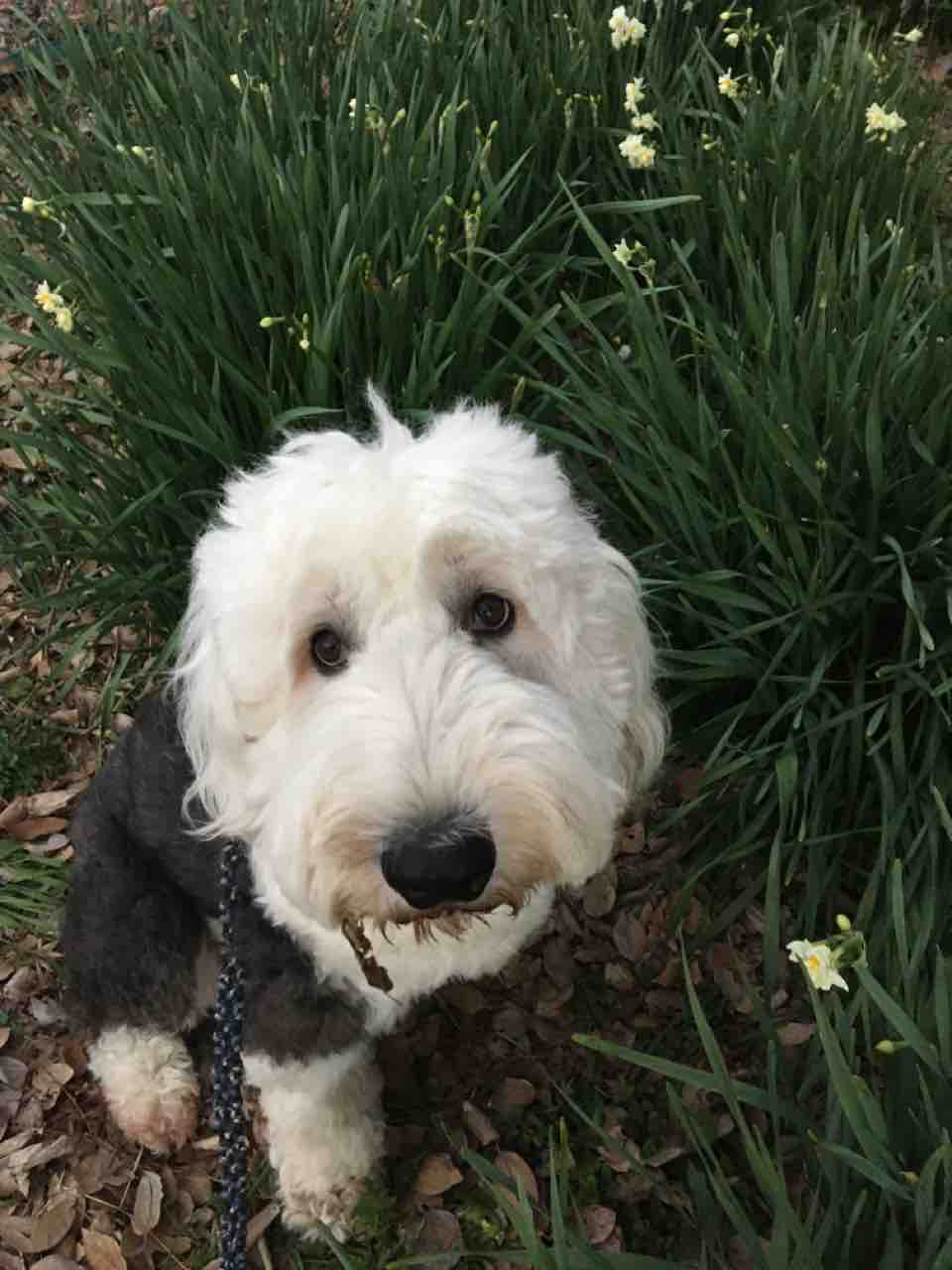 授業は未だ始まっていませんが、、、 : IROを織る、IROを描く、iroiro！ 2