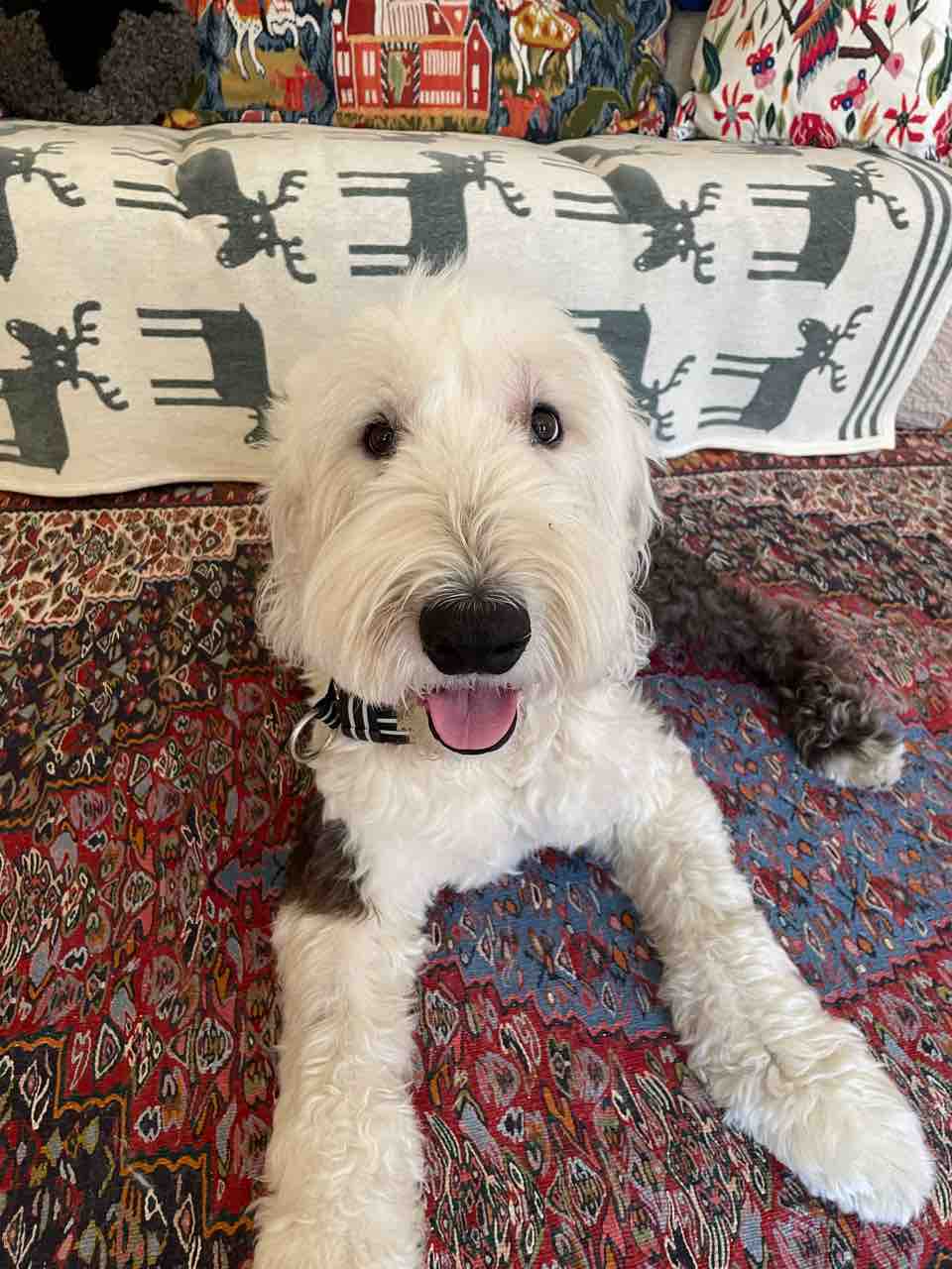 初夏？ : IROを織る、IROを描く、iroiro！ 2