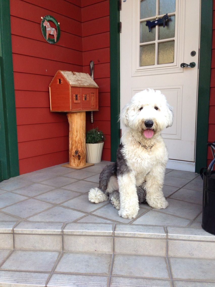 頂きものonly！ 笑 : IROを織る、IROを描く、iroiro！ 2