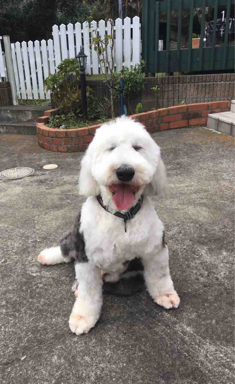 ピカピカのランプ君 : IROを織る、IROを描く、iroiro！ 2