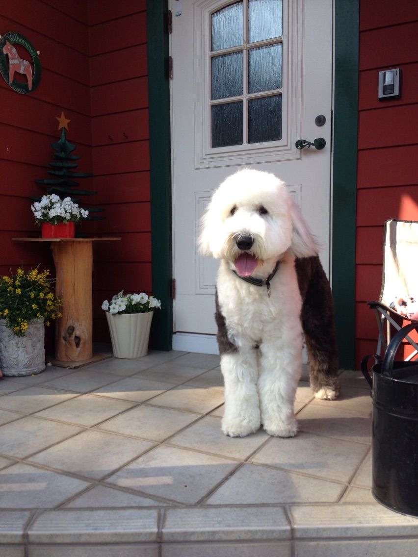 私も新入生！ : IROを織る、IROを描く、iroiro！ 2