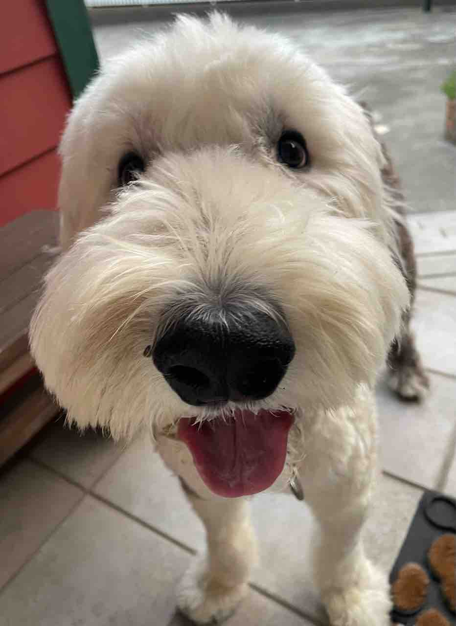 兄の命日は私の《一人記念日》 : IROを織る、IROを描く、iroiro！ 2