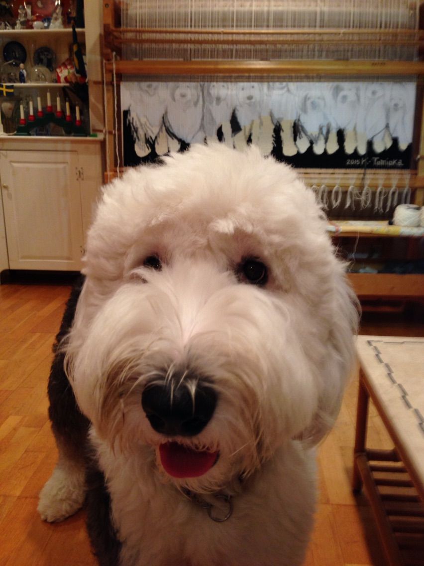 暖かな冬！、、、 : IROを織る、IROを描く、iroiro！ 2