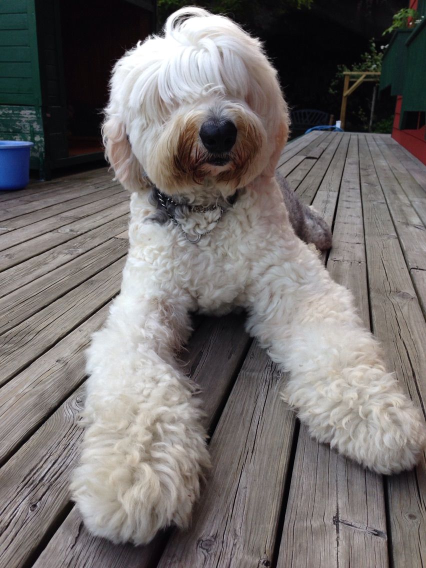 朝の海へ！ : IROを織る、IROを描く、iroiro！ 2