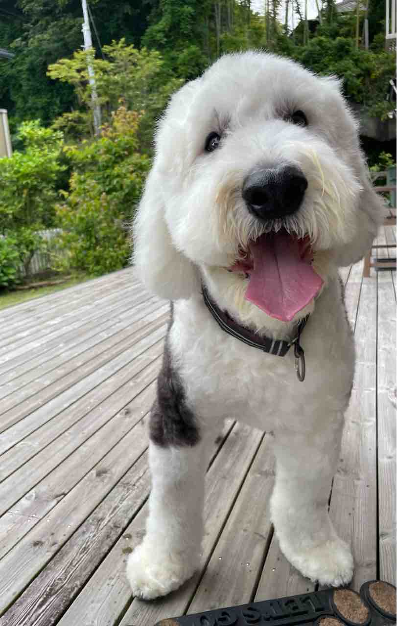 40年前の私の8月12日、、、 : IROを織る、IROを描く、iroiro！ 2