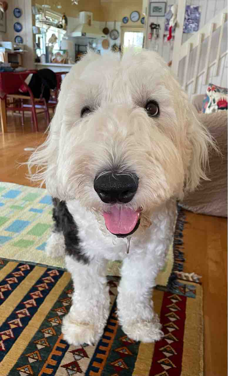 忙しい！を飛び越えた言葉って何かなぁ？ : IROを織る、IROを描く、iroiro！ 2