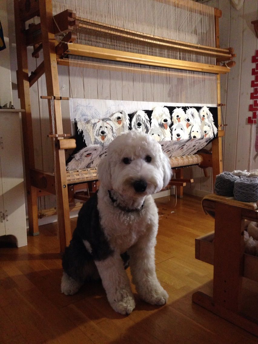 5年！、、、 : IROを織る、IROを描く、iroiro！ 2