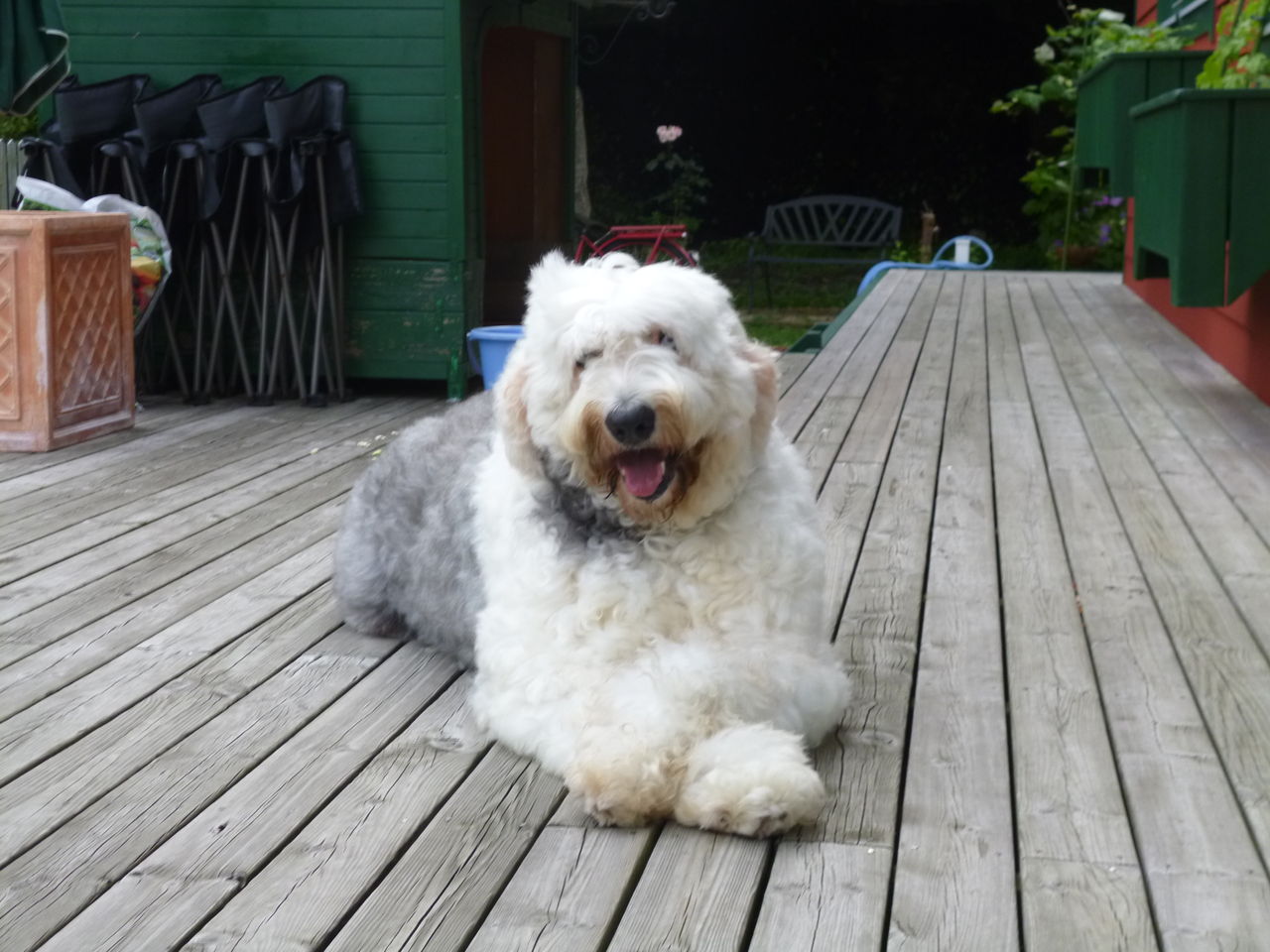 うれしい晴れ間！ : IROを織る、IROを描く、iroiro！ 2