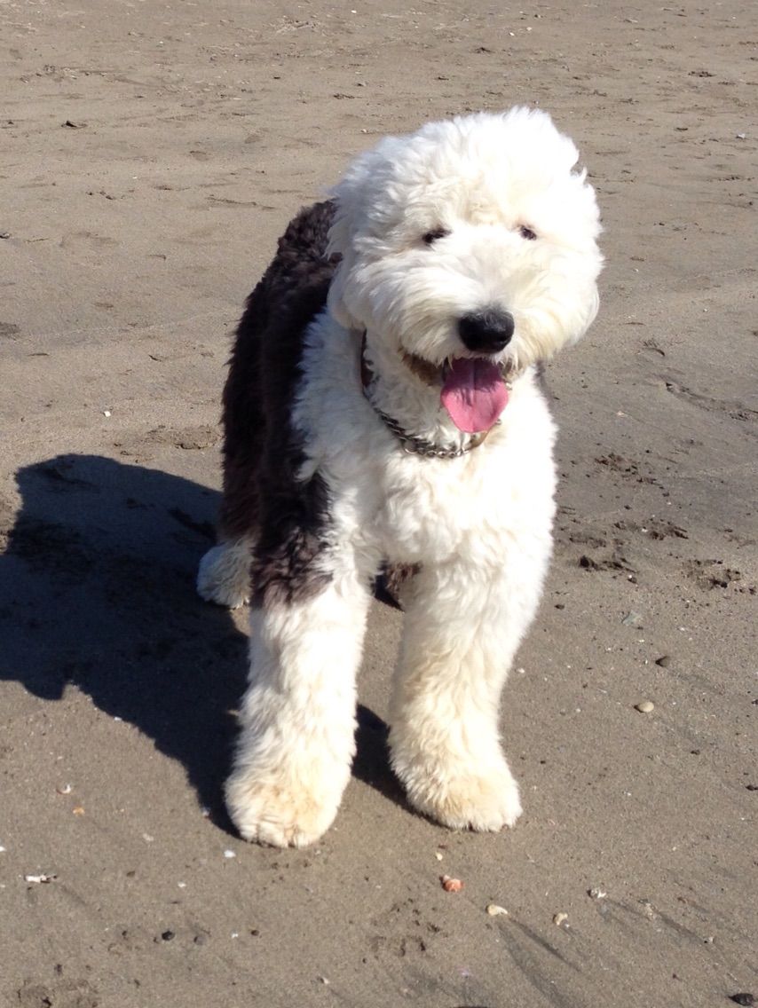 晴れましたね！ : IROを織る、IROを描く、iroiro！ 2